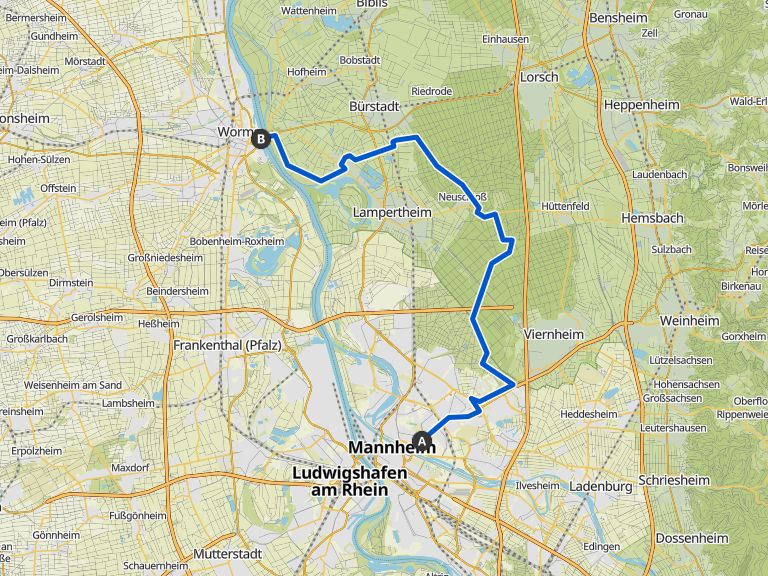 Biken durch den Käfertaler Wald🌲 | Fahrradtour | Komoot